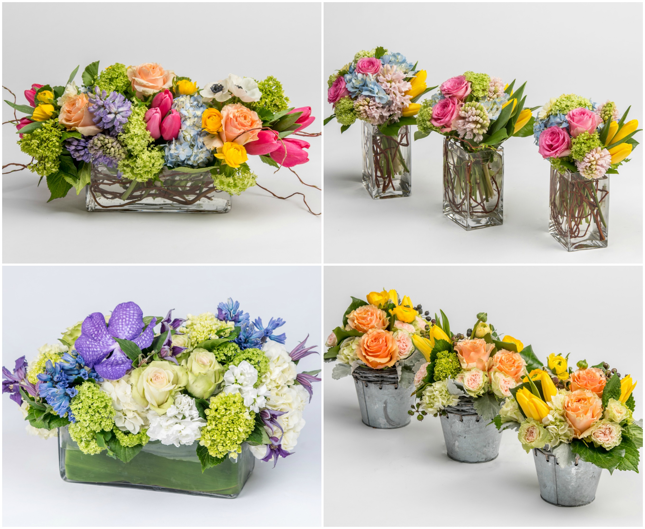Easter Flowers, Plants & Gifts - Robertson's Flowers