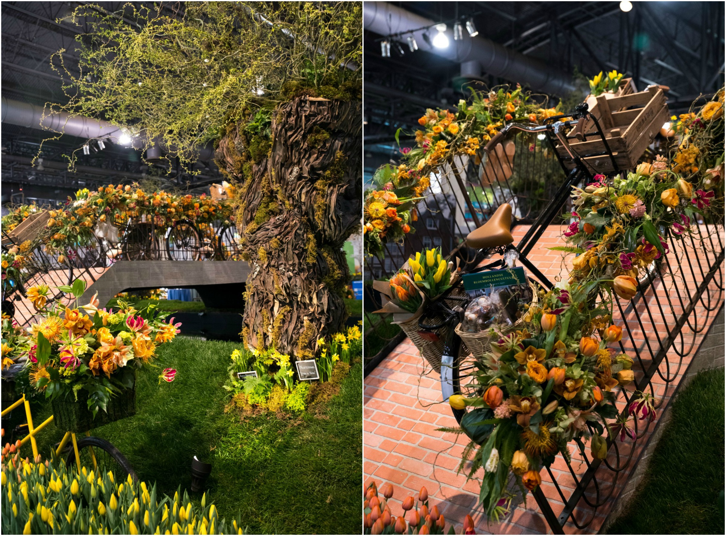Robertson's Wins Best in Show at the 2017 Philadelphia Flower Show ...