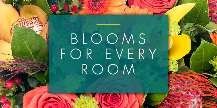 How To Make Every Room Bloom - Robertson's Flowers